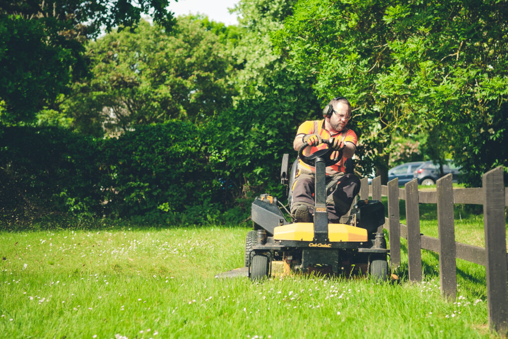 When should you start cutting your grass after winter?